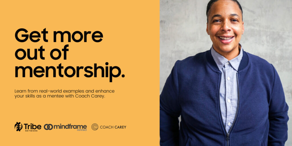 MindFrame Connect and Tribe Network Presents: Principles of Menteeship ...